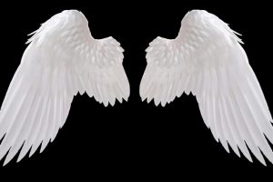 15 EASY Ways to Make Angel Wings: For Custom or Decor