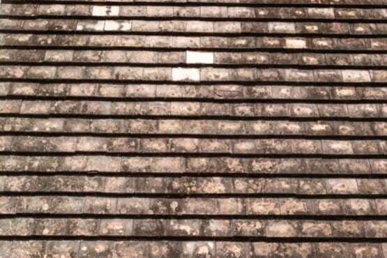 Signs of Roof Damage: How to Detect and Prevent Costly Repairs