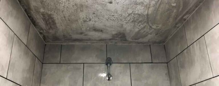 Why Does Mold Build Up In My Shower?